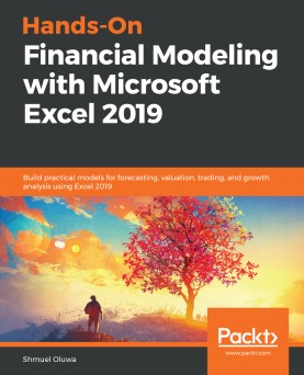 Hands-On Financial Modeling with Microsoft Excel 2019 | Libraywala